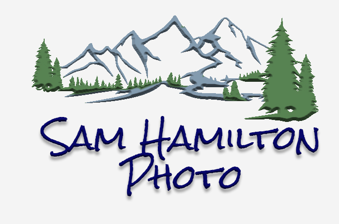 Sam Hamilton